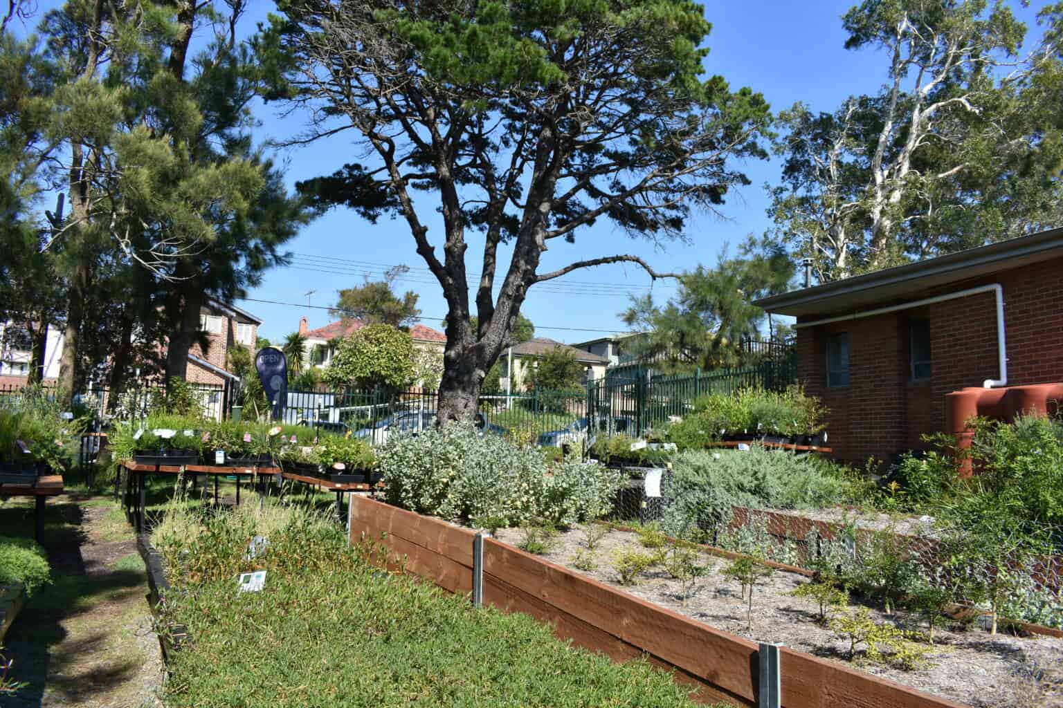 IndigiGrow: A social enterprise creating opportunities – Muru Office ...