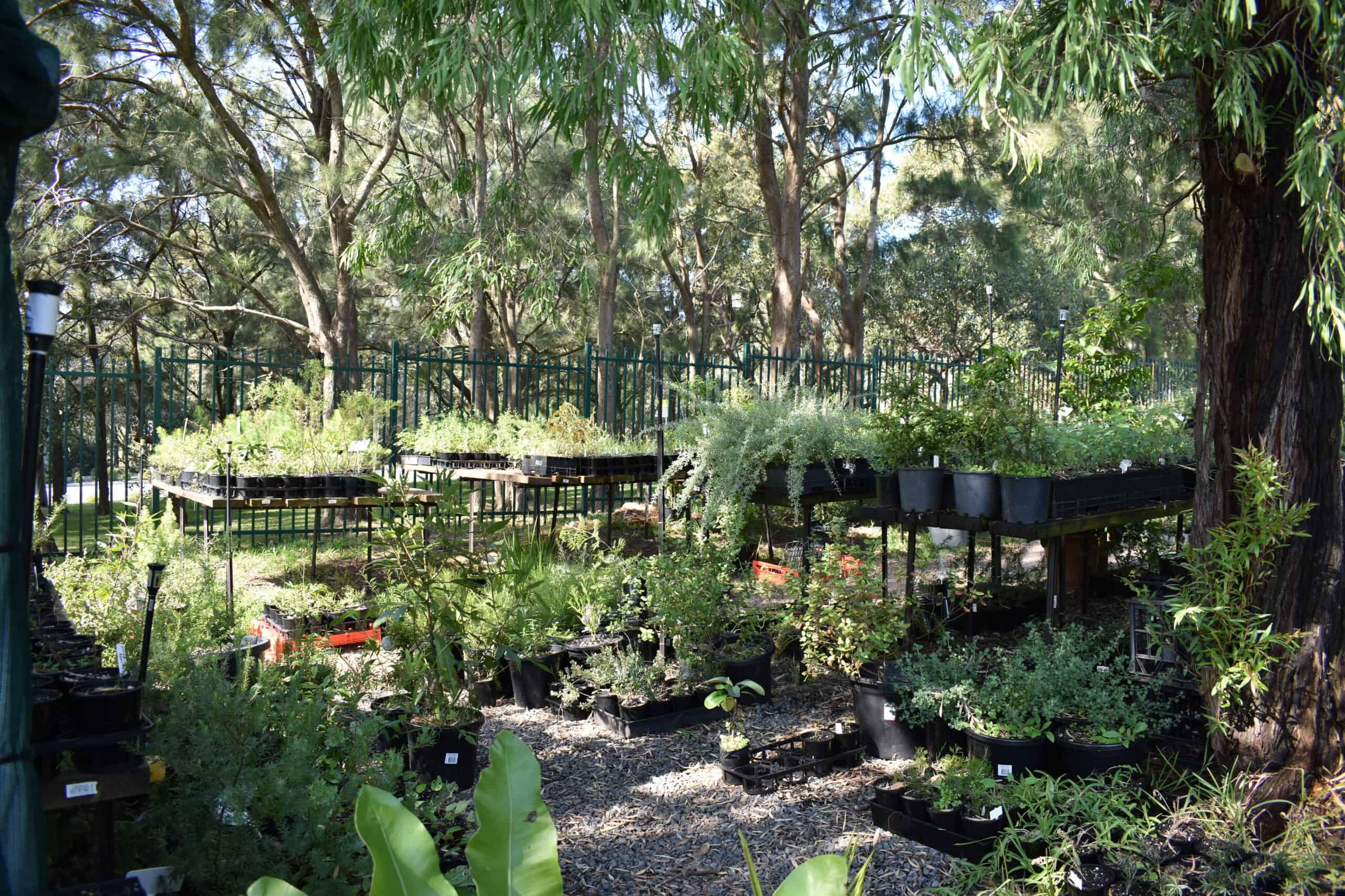 IndigiGrow: A spectacular social enterprise creating opportunities ...